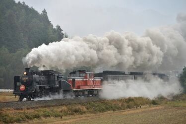 JR貨物から消えた「DD51」、完全引退はいつだ? かつては「SLの敵 JR貨物から消えた「DD51」、完全引退はいつだ? かつては「SLの敵